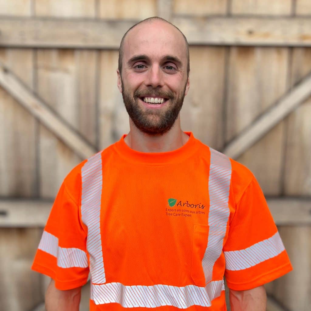 Our team | Tree care expert | Arboris